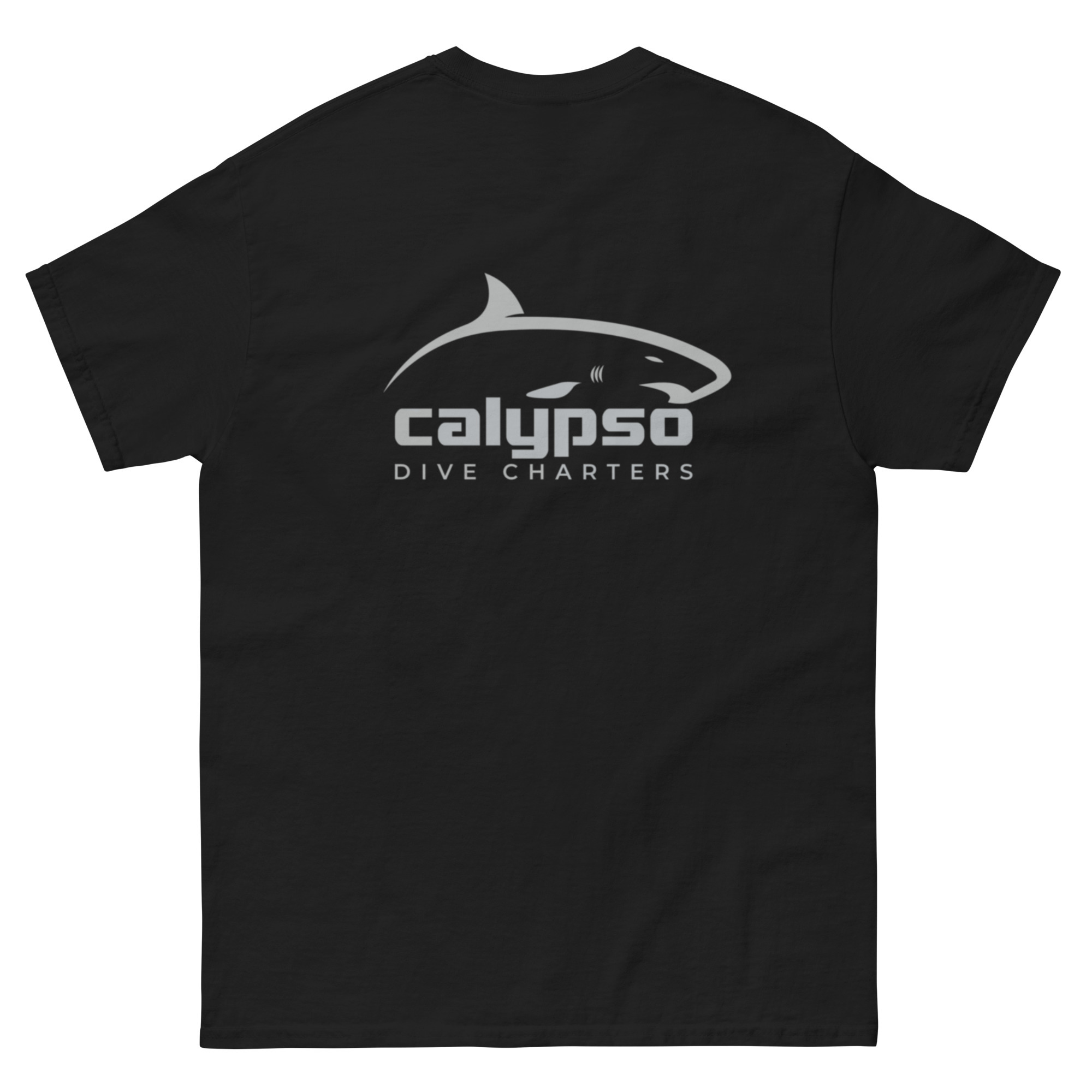 SHARK SNORKELING TRIPS | CALYPSO DIVE CHARTERS | SCUBA DIVE CHARTERS ...